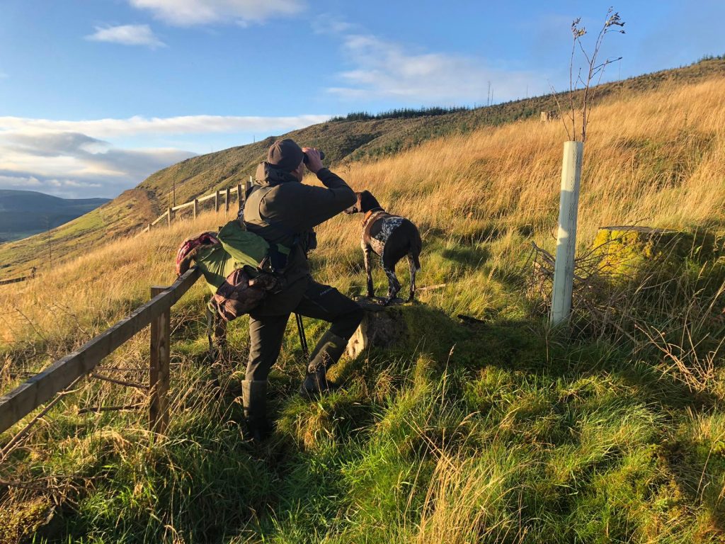 Napier Field Masters